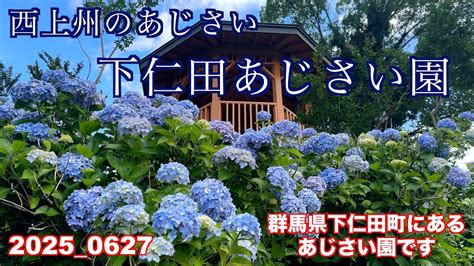 群馬県下仁田町にある下仁田あじさい園です YouTube