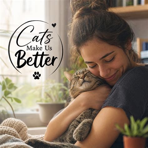 On The Hottest Days Of The Year The Cats Make Us Better Facebook