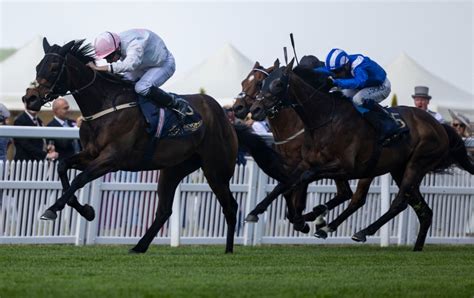 Ethical Diamond Paddy Power News
