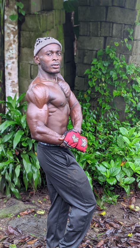 Nesty Iron Fitness