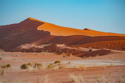 Safari Travel In Namibia Now Adjusts As Fuel Shortages Hit National Parks In 2026 Travel And