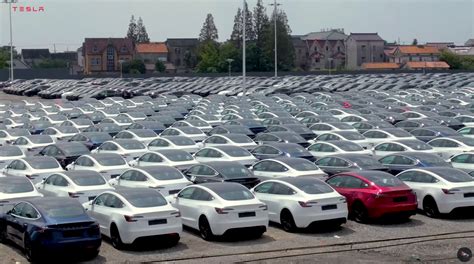 Tesla China Retail Sales Drop 9 In September As Shanghai Exports Surge 58