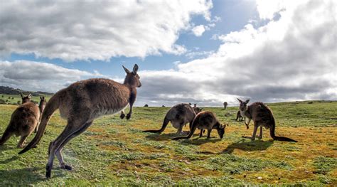 23 Places To Visit In Australia Cities Icons And Natural Wonders
