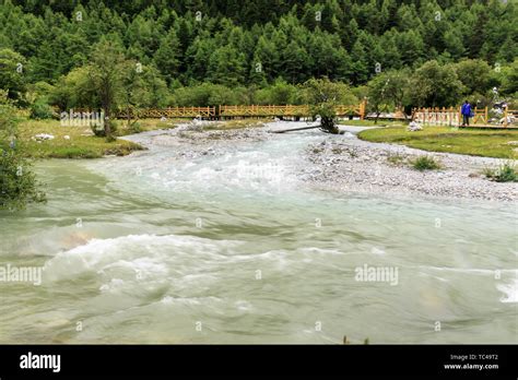 A Mountain Stream A Stream Stock Photo Alamy