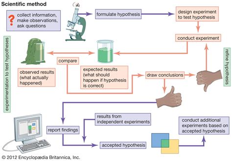 Scientific Method Definition Steps And Application Britannica