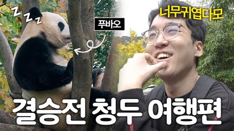 푸바오 보러 판다기지 다녀왔다모 W 페이커 롤 리그 오브 레전드 에펨코리아