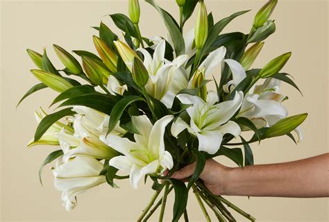 Knoxville Flower Delivery Local Knoxville Florists Ftd