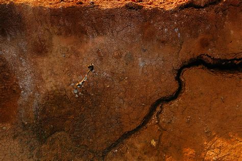 갈라진 갈색 개념 거친 표면 건조 건조한 경치 계절적 건조함 관찰 광야 구례프스키 지구 균열 금이 간 지구 기후 다루기 힘든 드라마틱한 텍스처