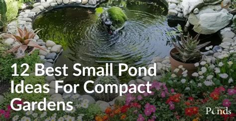 12 Best Small Pond Ideas For Compact Gardens Midwest Ponds