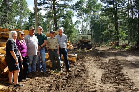 San Francisco Peaks Thinning Project Near Flagstaff Aims To Stave Off