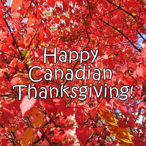 Happy Canadian Thanksgiving Ifunny