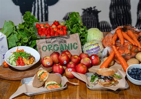 See A Few Of Chef Tanyas Many Sandwich Options