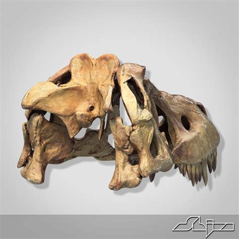 Dino Skull 3d Max