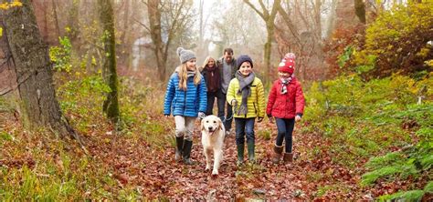 Sherwood Forest Breaks Nottinghamshire Breaks Center Parcs