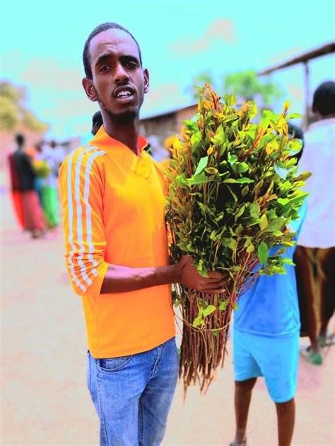 Sharer19elotycyqpoilk Li Biilal Muca Gobaa