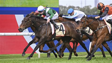 2026 Heritage Stakes Race History Racing And Sports