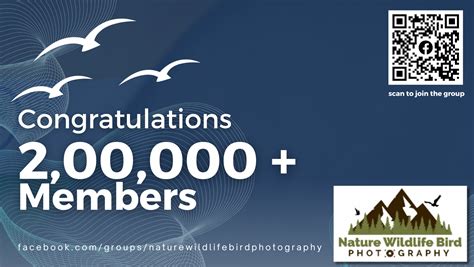 Nature And Wildlife Bird Photography Pandj Photos Facebook
