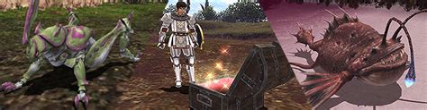 Final Fantasy Xi Mise à Jour Daout De Ffxi Implémentation De