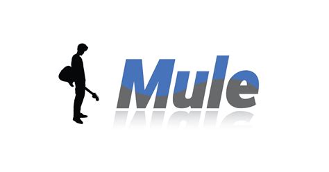 오리진 이펙트 칼리76 중고악기 뮬