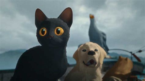 Flow News And Updates Moviefone