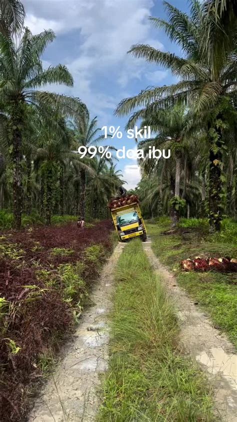Doa Ibu Dan Skill Di Dunia Truk Sawit Tiktok