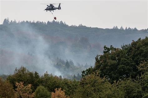 Waldbrand Im Hürtgenwald Das Ist Der Aktuelle Stand