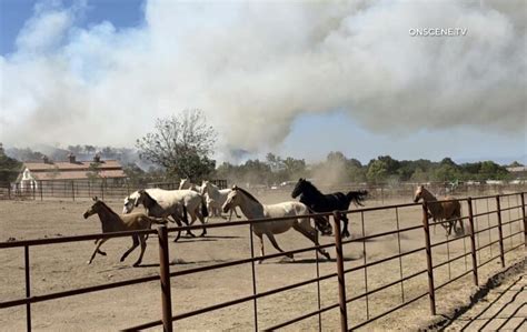 Volcano Fire Forces Evacuations In Riverside County Others Reduced To