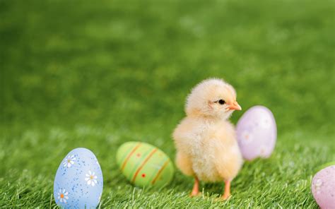 Easter Guide Miami And Miami Beach