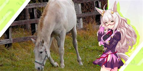 Did You Know The Umamusume Pretty Derby Trainees Are Based On Real