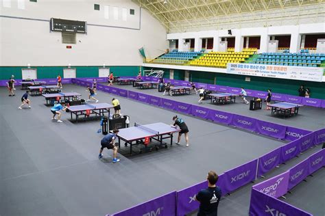 탁구 한국 유럽 유망주들 제주서 합동훈련8개국 청소년 방한