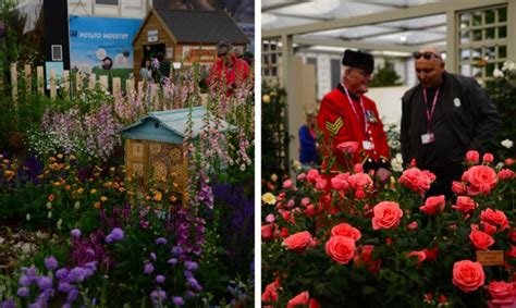 Chelsea Flower Show 2025 Neutrog