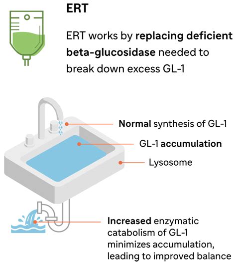 Gaucher Disease Therapy And Management For Us Hcps