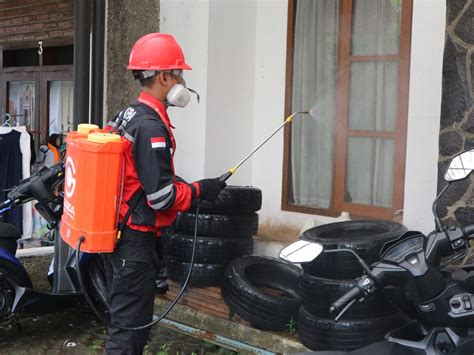 Why Is Consistent Pest Management Non Negotiable In Tropical Climates