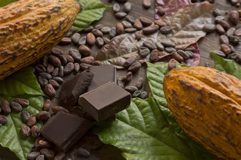 4 Tendencias Que Están Redefiniendo El Mundo Del Chocolate