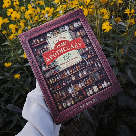 The Handmade Forgotten Herbal Apothecary Over 250 Powerful Remedies At