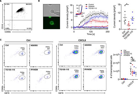 Frontiers TRPM7 Kinase Is Essential For Neutrophil Recruitment And