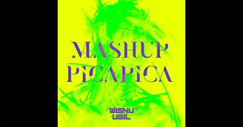 ‎mashup Pica Pica Single Wisnu Ugilのアルバム Apple Music