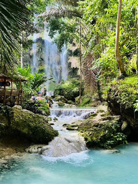 필리핀 세부 자유여행 패키지 오슬롭 고래상어 모알보알 네이버 블로그