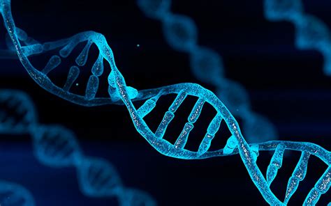 Promising Gene Editing Therapy Lowers ‘bad Cholesterol Ucl News