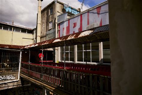 Today The Brave Relocates To Hibernian House Campaign Brief