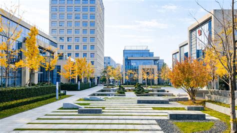 Autumn Colors Transform Urban Spaces Into Scenic Landscapes China