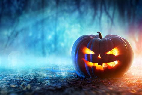 Halloween Fun Returns To Mountsberg Oakville News