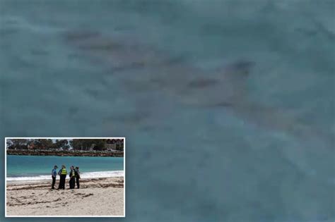 Shark Kills Swimmer In Attack Off Australian Beach As Witnesses Recall