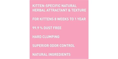 Precious Cat Kitten Attract Kitten Training L