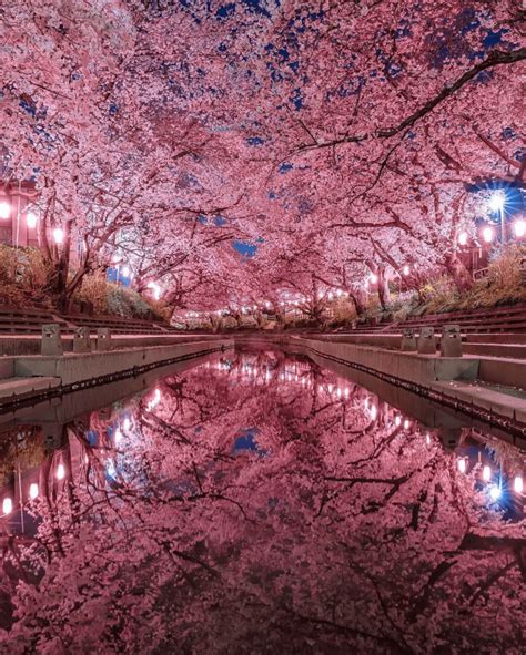 Saitama Japan Author Greenygirllyy Nature Travel Photography On