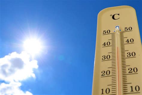 40℃以上は「酷暑日」 食品新聞 Web版（食品新聞社）