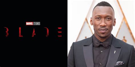 Marvels Troubled Blade Movie Finally Breaks Silence After Indefinite Delay