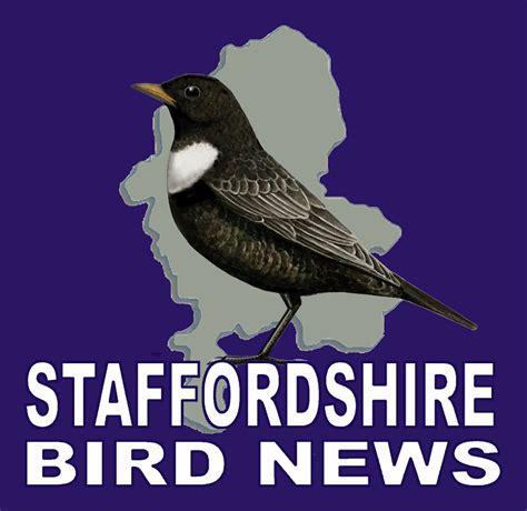 Staffordshire Bird News Wednesday 25th March 2026