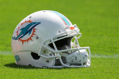 Nfl Bettor Places Wild Wager On Miami Dolphins