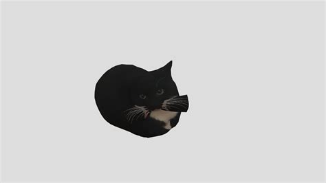 Maxwell Cat Download Free 3d Model By Red Angry Birds Ab6640473